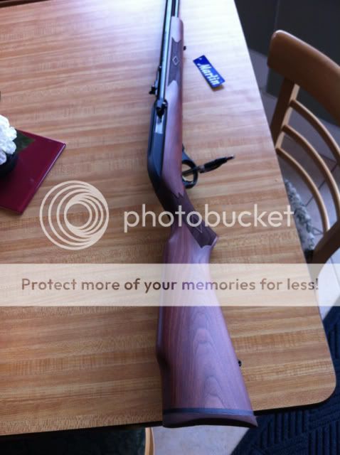 Old Glenfield 60 | Rimfire Central Firearm Forum